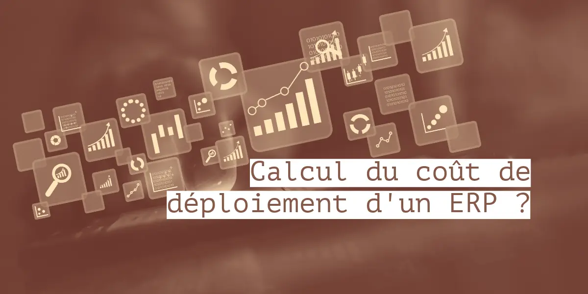 Quel est le budget d’un ERP et ses coûts associés